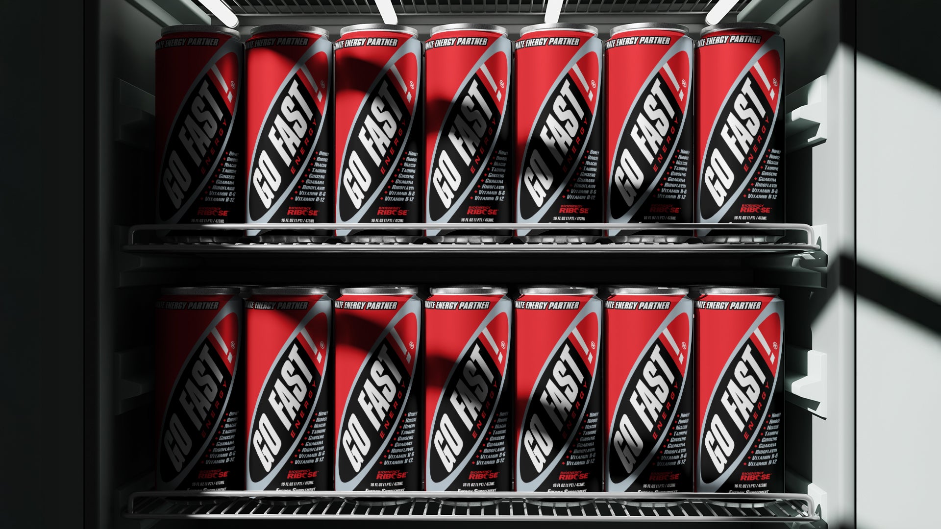 GOFAST!® ENERGY | DESIGNED TO KEEP YOU IN THE FAST LANE. – GO FAST