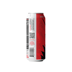 GOFAST! ENERGY DRINK — OG — 16 OZ | 12 PACK – GO FAST